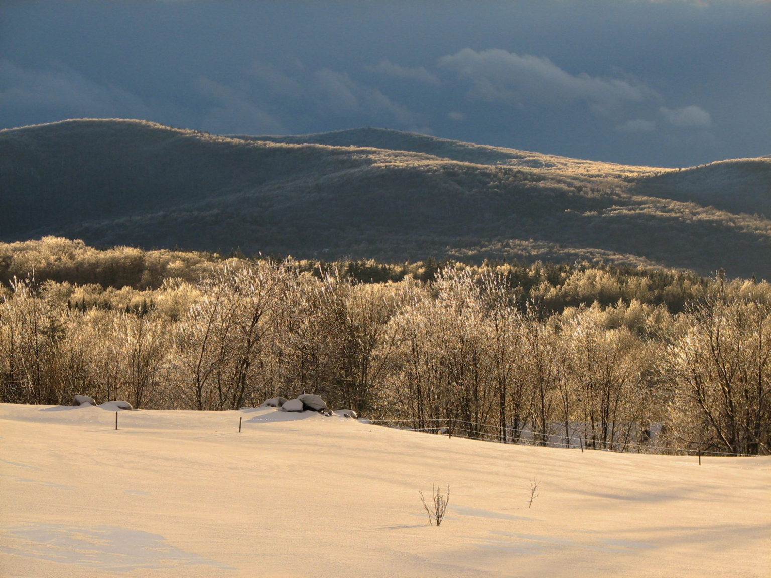 Mount Holly, Vermont – Town Website