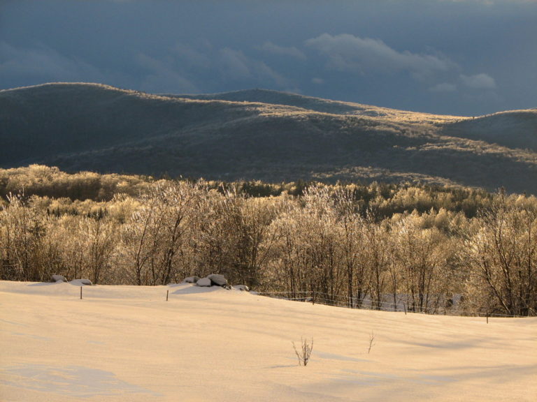 Town Government – Mount Holly, Vermont